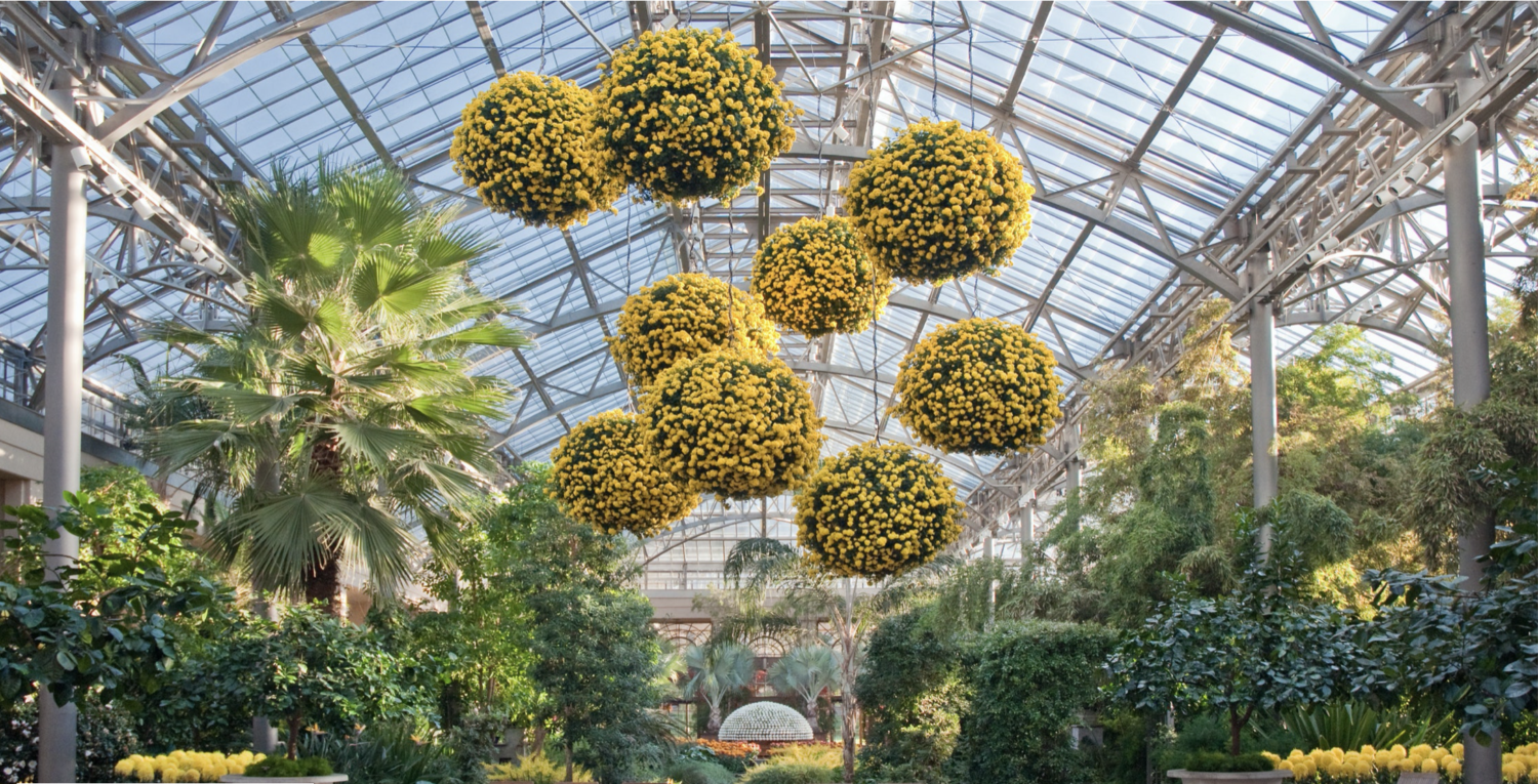 Public Conservatory Events | Halloween | Tanglewood Conservatories, Ltd.